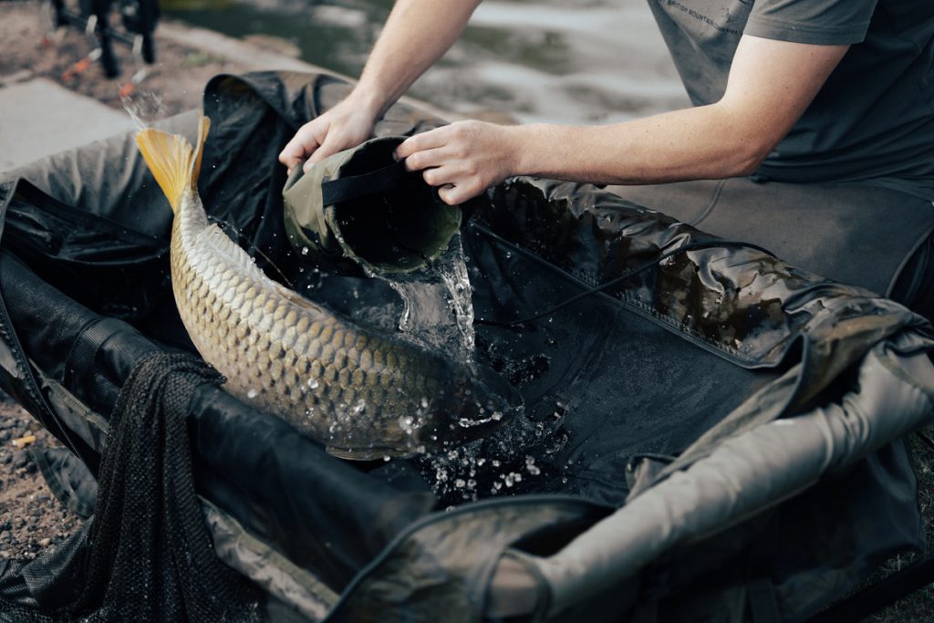 Seafood Value Chain - Blockchain for Food Safety, Traceability and ...