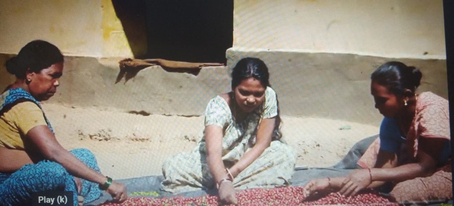 TechnoServe Uses TraceX Blockchain Solution for Coffee Traceability