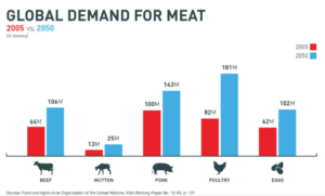 Importance of Meat Traceability - Blockchain for Food Safety ...