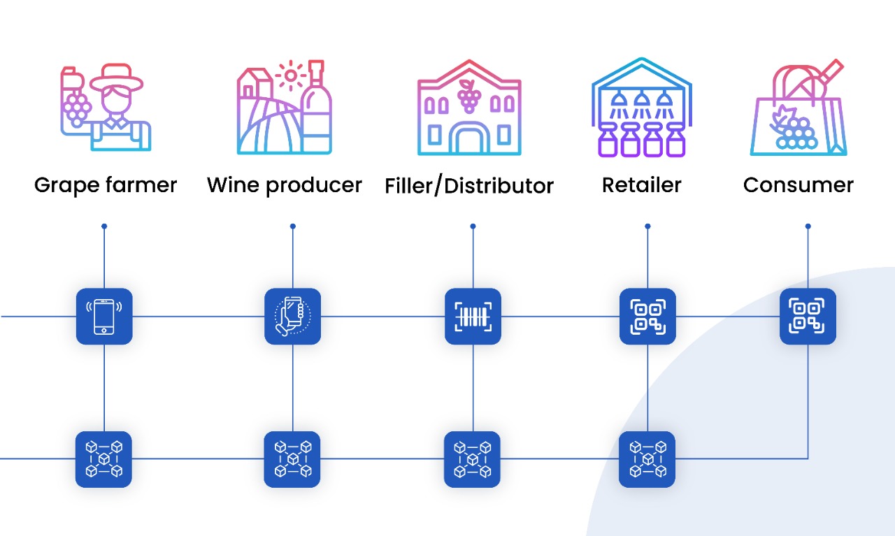 Wine Traceability | Grape to Glass Journey