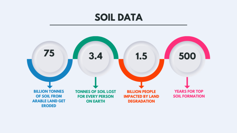 Soil Carbon: The Key to Climate-Resilient Agriculture & Fertility