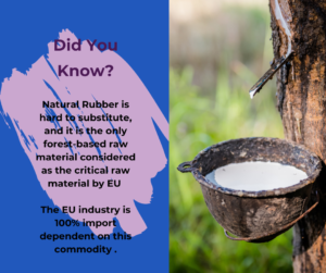 Tree to Tyre - Sustainable Rubber | Transforming Rubber Industry