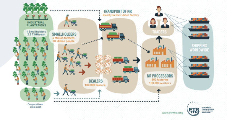 Tree to Tyre - Sustainable Rubber | Transforming Rubber Industry