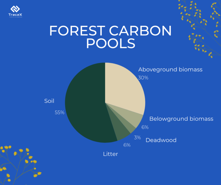 Unveiling Forest Carbon Projects: Key to Climate Action