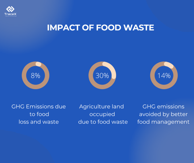 Food Waste in Supply Chains | Building a Sustainable Tomorrow