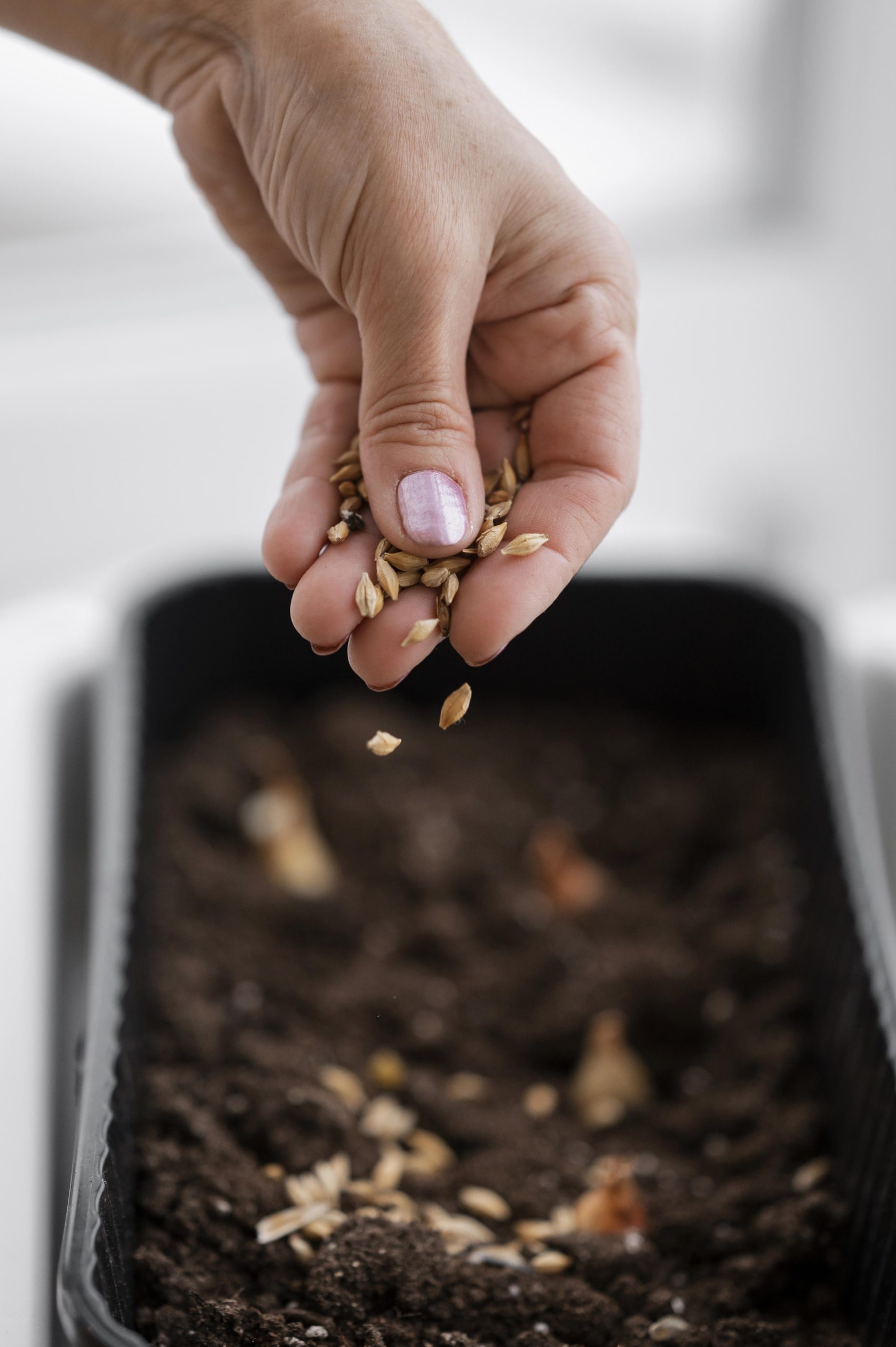 TraceX's Blockchain Solution Against Spurious Seeds in Telangana