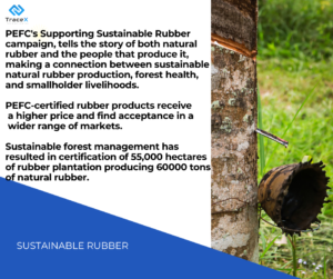 Sustainable Rubber in Southeast Asia | Eco-Friendly Practices for ...