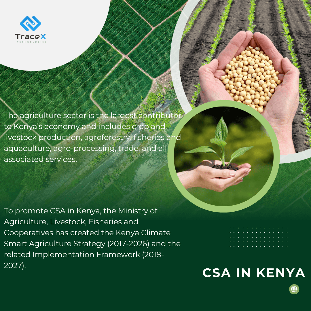 Climate Smart Agriculture in Kenya: Strategies for Resilience