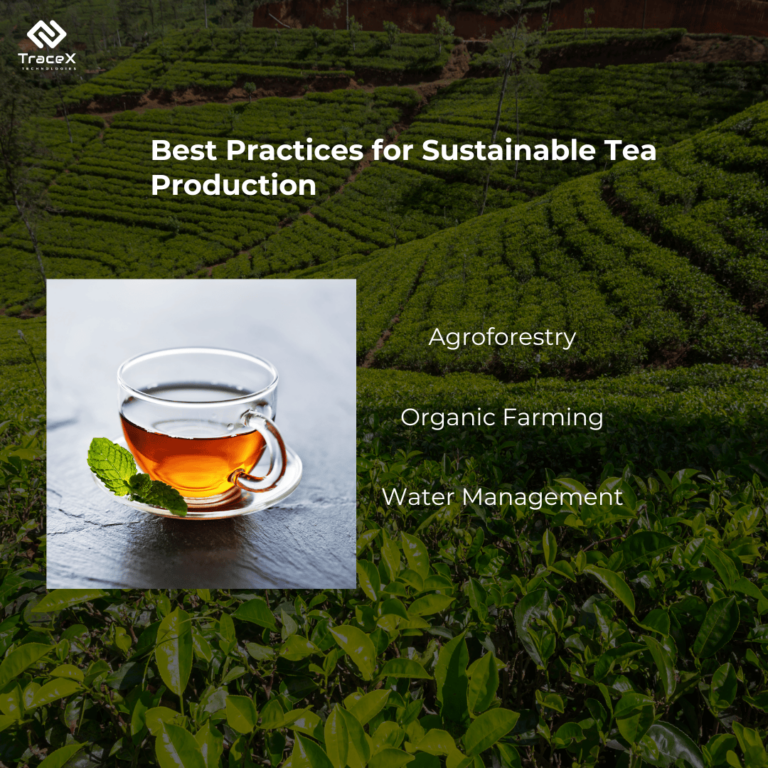 Tea Supply Chain Revolution: Modernizing for a Better Brew
