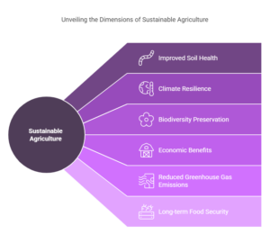 5 Step Approach for Zero Hunger Sustainable Development Goal