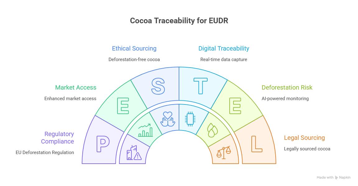 cocoa Supply Chain in Netherlands | TraceX EUDR DDS Platform