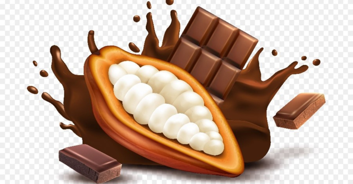 EUDR DDS for Cocoa Supply Chain in Hungary
